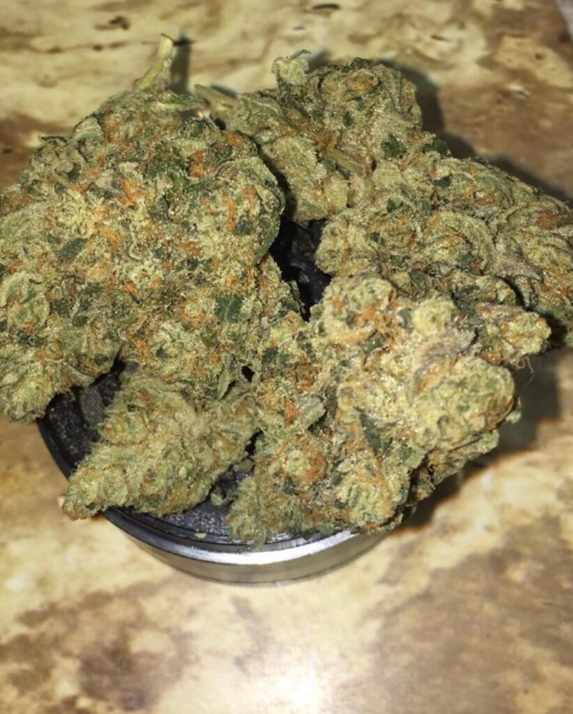 Panda Manatl1 - Tiger Cake (grown by blockheadbuds ) - Dagga Academy